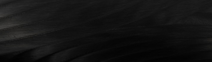 Contact Epic Plastic Surgery | Miami's Premier Aesthetic Experts